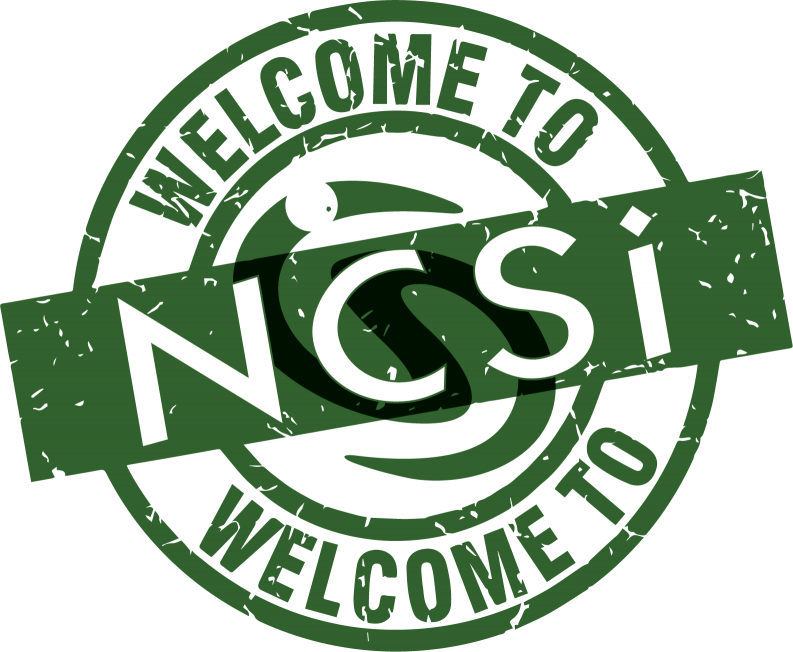 NCSi - Network Consulting Services, Inc.
