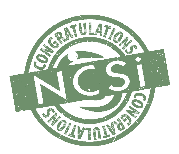 NCSi - Network Consulting Services, Inc.